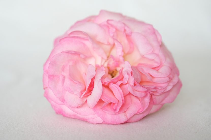 Yoni Spa - Sich verwöhnen lassen - Yoni Spa Köln - Erfahrungen Yoni ...